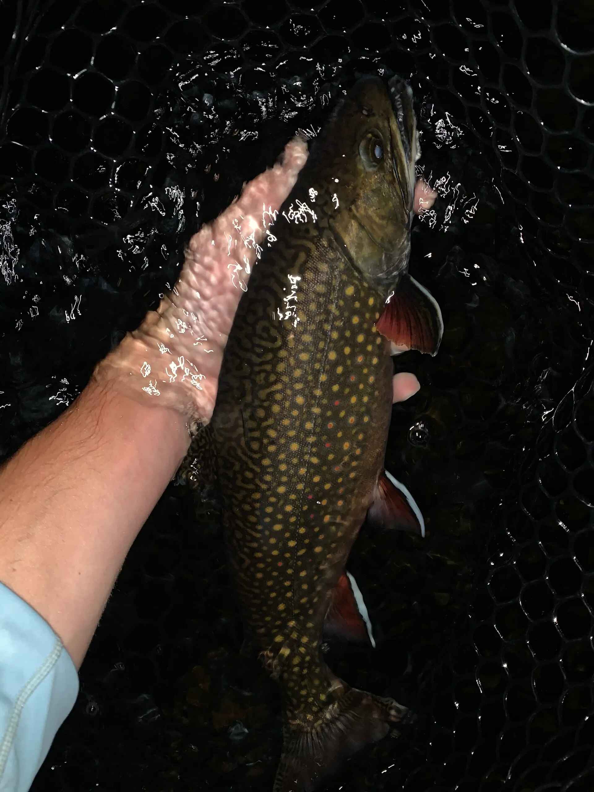 GuideTime | Search for guided fishing, whitewater, hiking, hunting, and ...