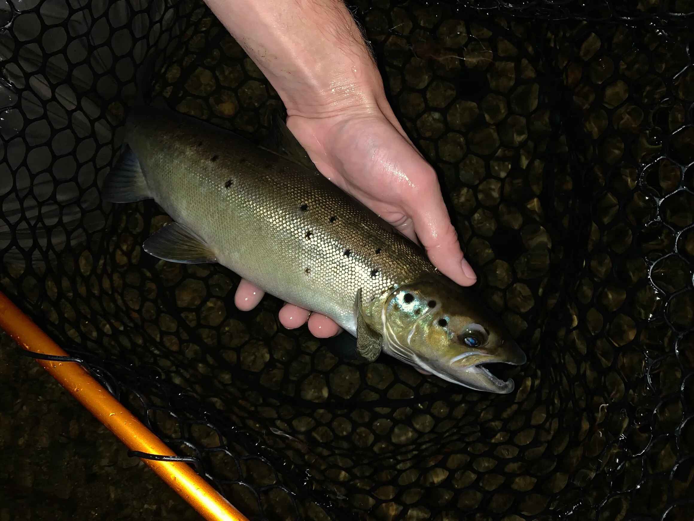 GuideTime | Search for guided fishing, whitewater, hiking, hunting, and ...